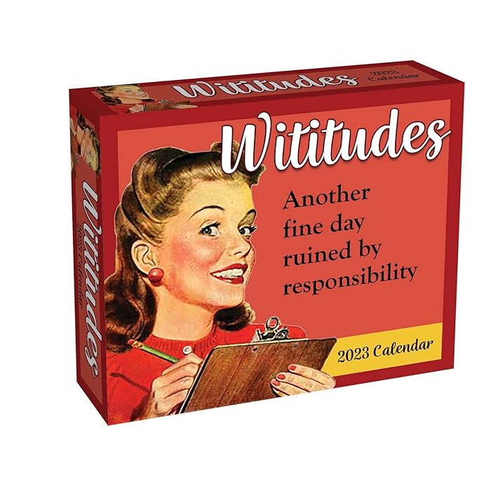 Buy Wititudes 2023 Day-to-Day Calendar: Another Fine Day Ruined by ...