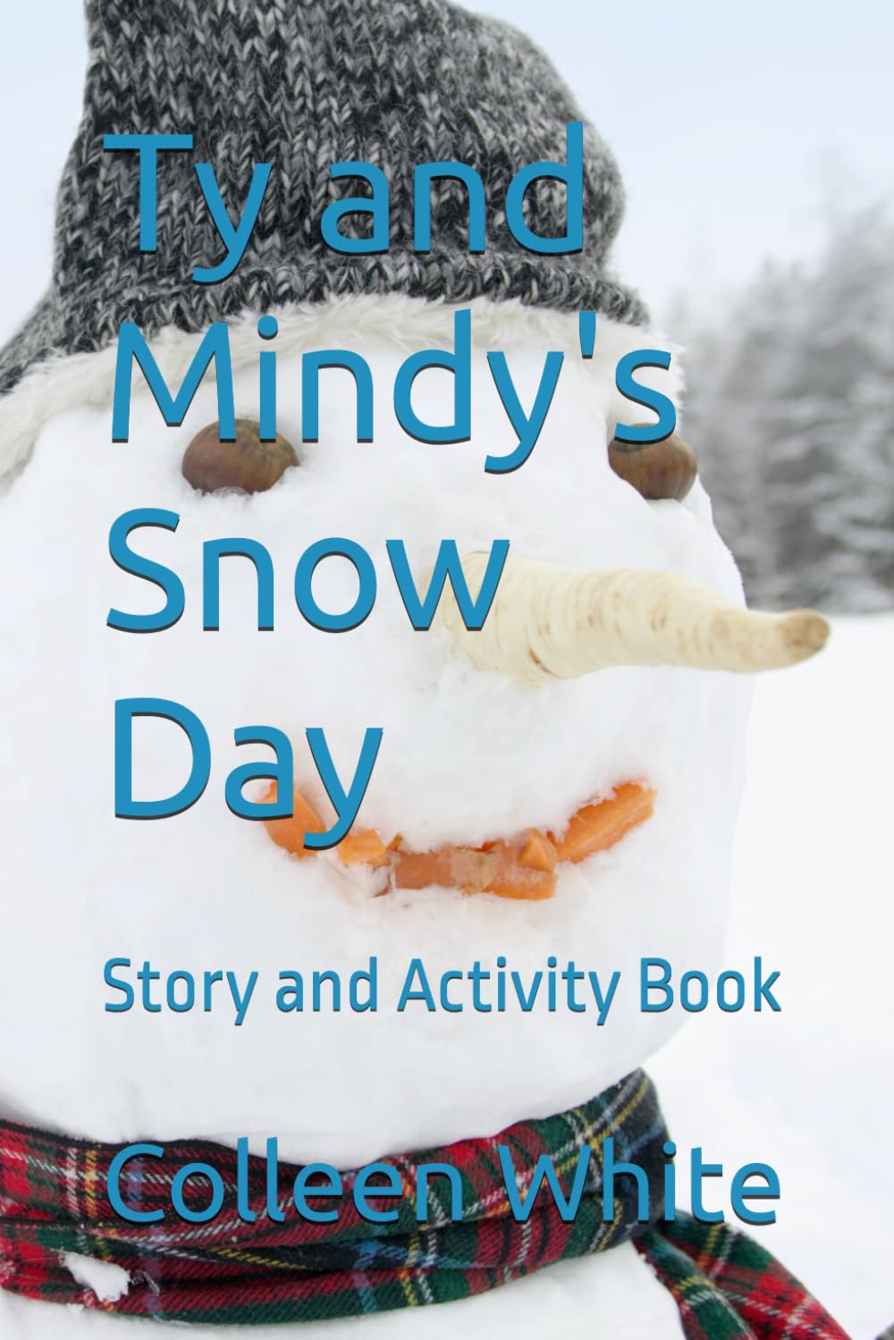 Ty and Mindy's Snow Day: Story and Activity Book : White, Colleen ...