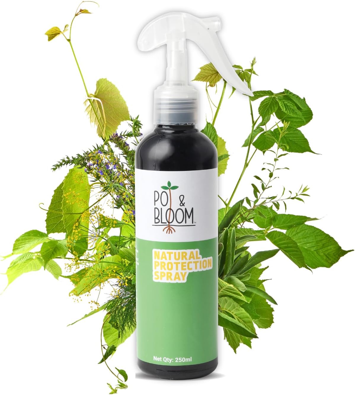 Herbal Strategi Anti-Mealy Bug Repellent Spray - 200ml | Natural & Eco ...