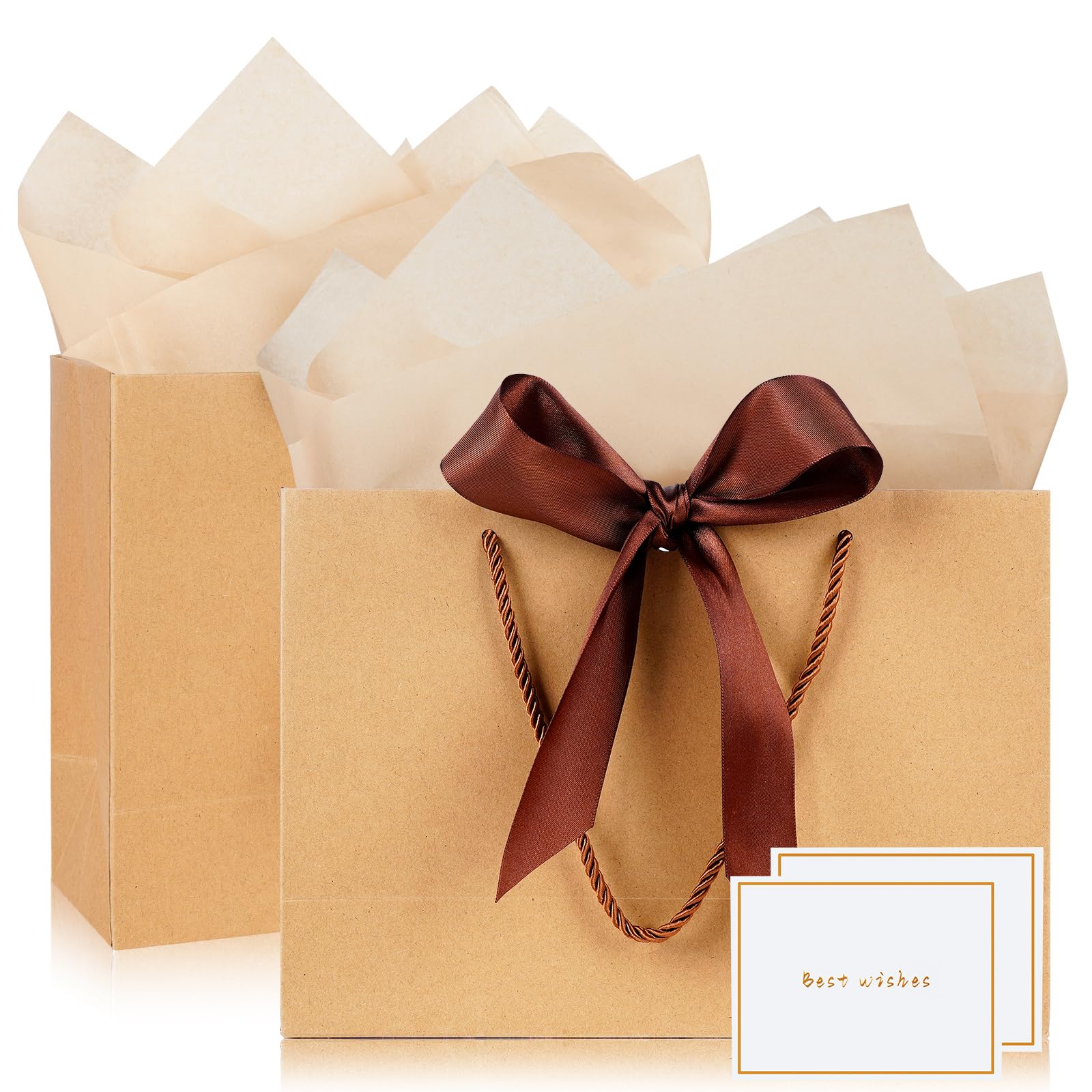 Gift Bags for Present, 2 Pack Medium Gift Bag with 2 Wrappers and 2 ...