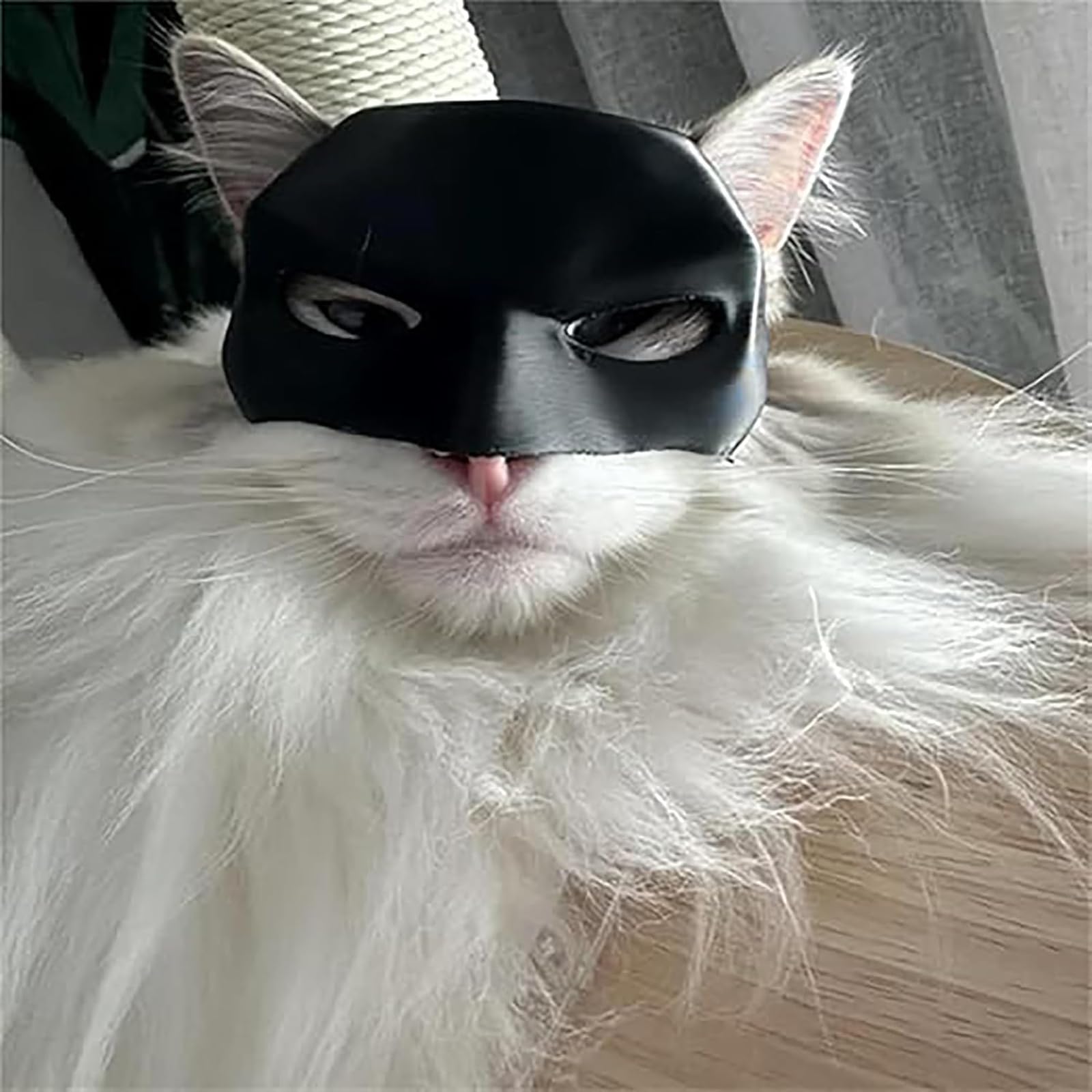 Cat Halloween Costumes For Cats Batman Cat Meme Mask Hilarious Black ...