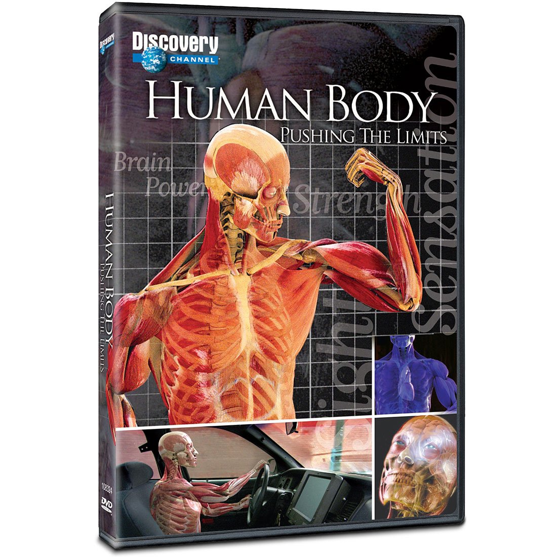 Human Body Pushing the Limits: Amazon.ca: Bray Poor, Mark Radice ...