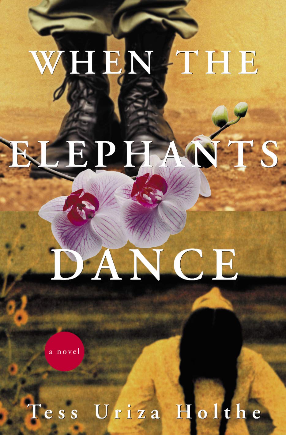 When the Elephants Dance: A Novel - Kindle edition by Holthe, Tess ...