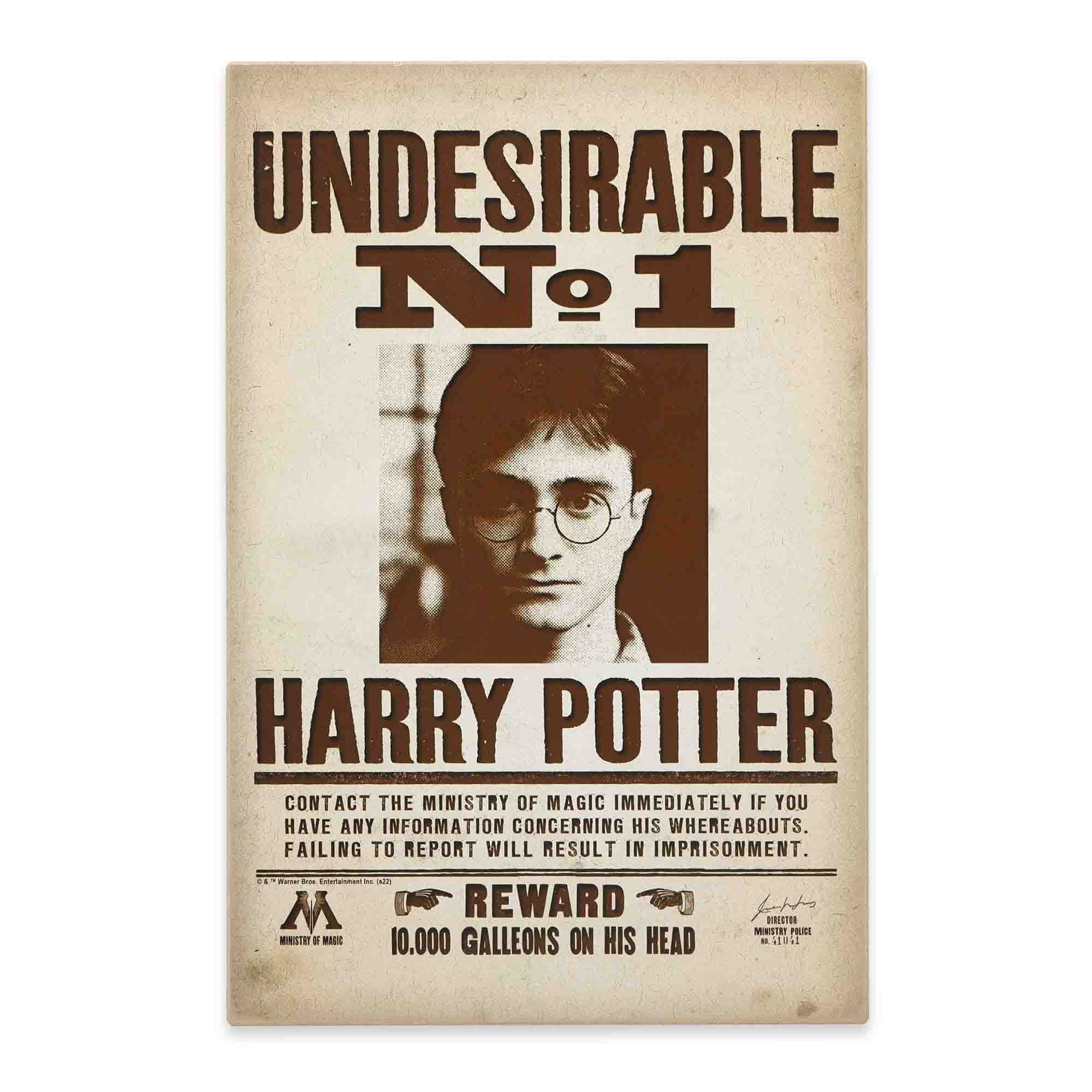 Amazon.com: Harry Potter Undesirable No. 1 Wood Wall Decor - Vintage ...