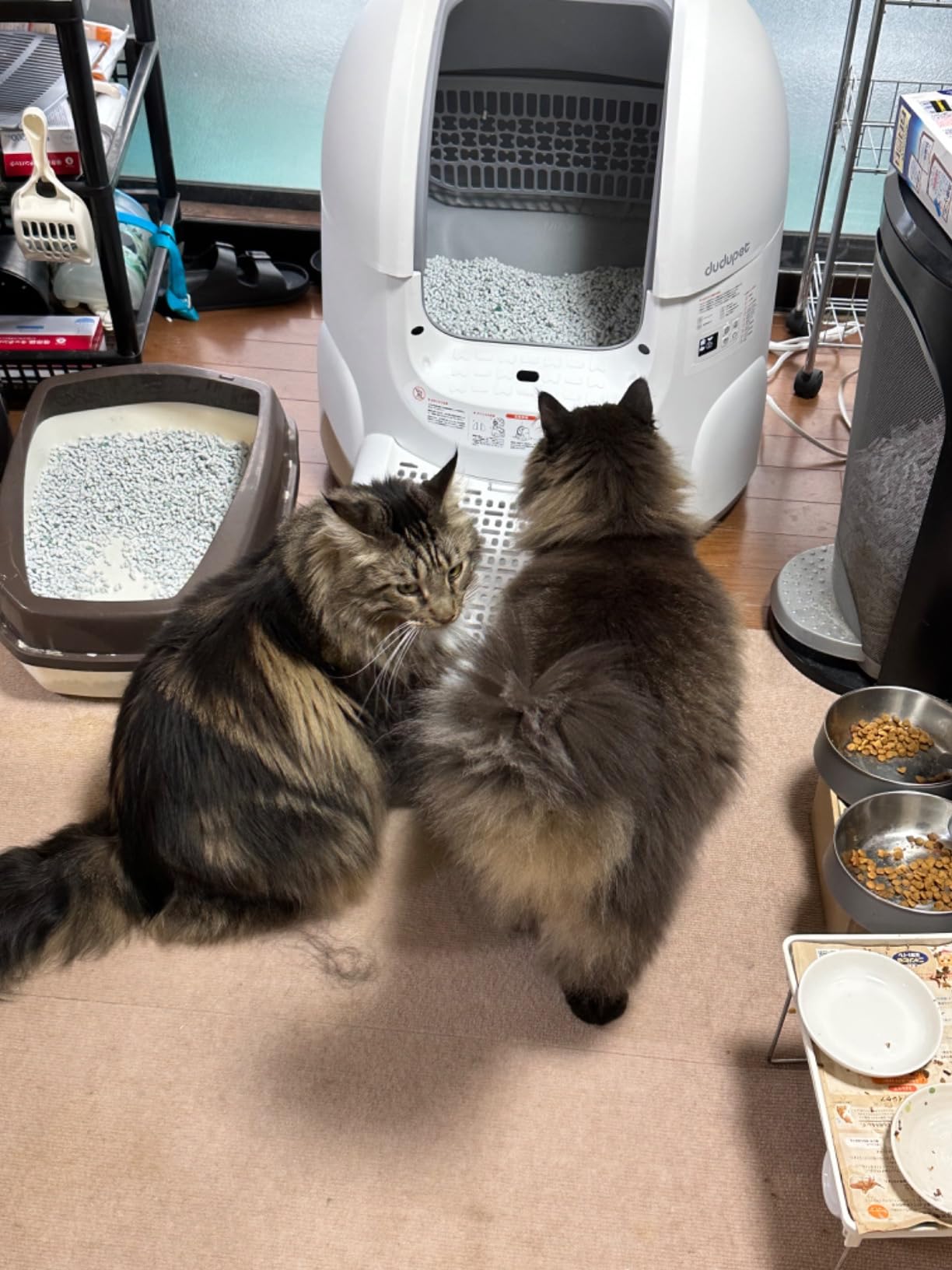 Amazon | DUDUPET CL01 自動猫トイレ 猫 トイレ 自動トイレ 高性能 自動清掃 7つのセンサー搭載 踏み台付き 大型猫にも対応 飛散防止 多頭飼いにも最適 お留守番対策 ...