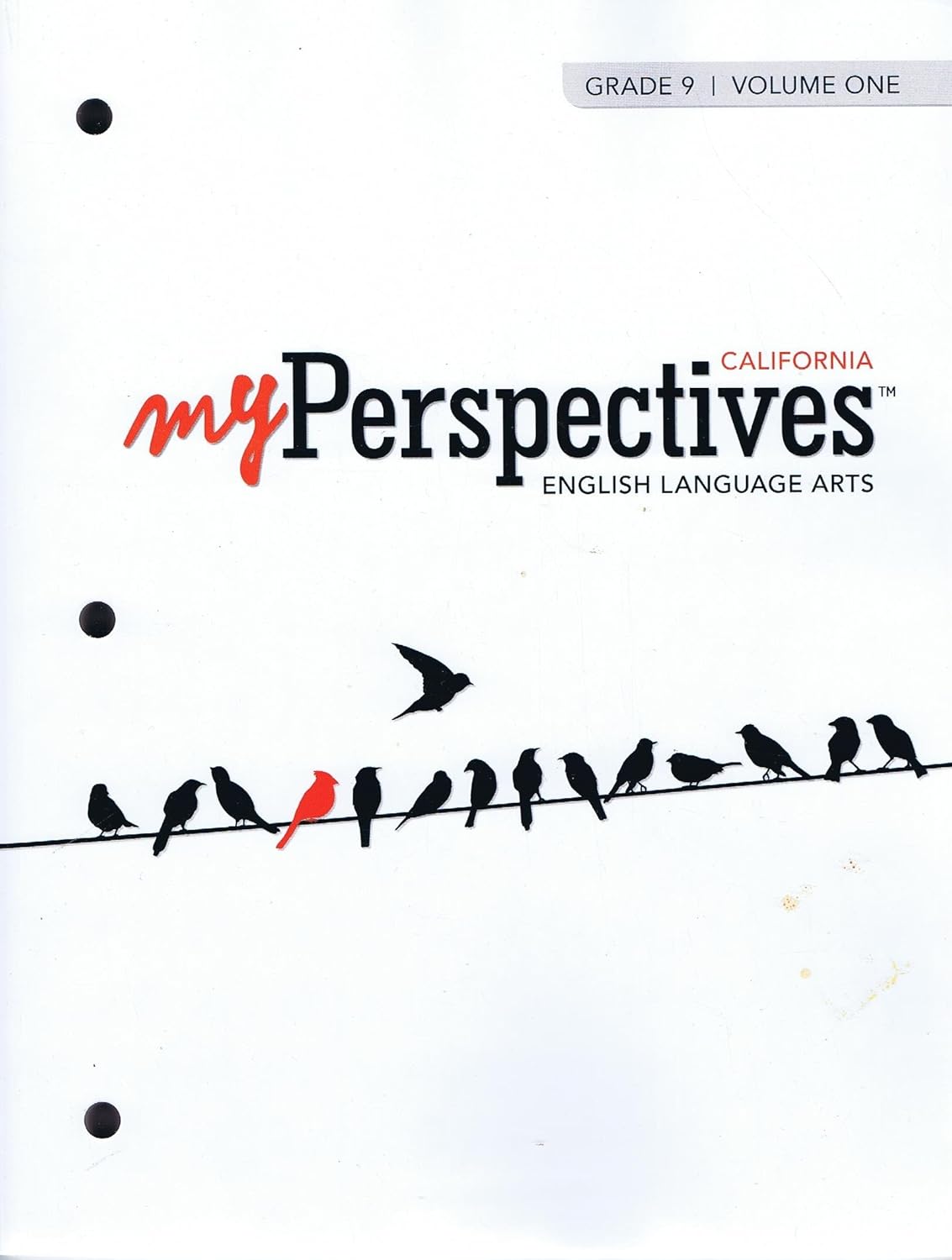 Amazon.com: My Perspective California English Language Art Grade 9 ...