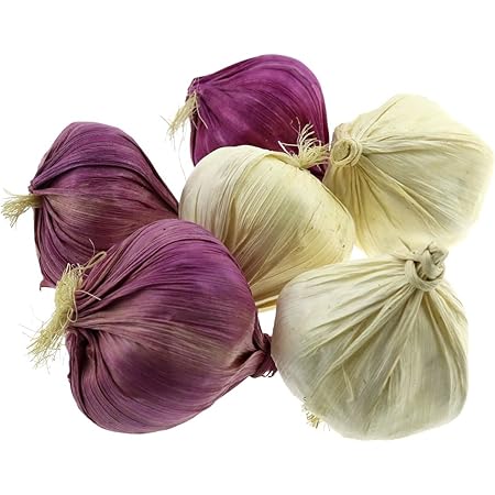 Amazon.com: Zzooi Artificial Lifelike Fake Garlic Faux Garlic White and ...