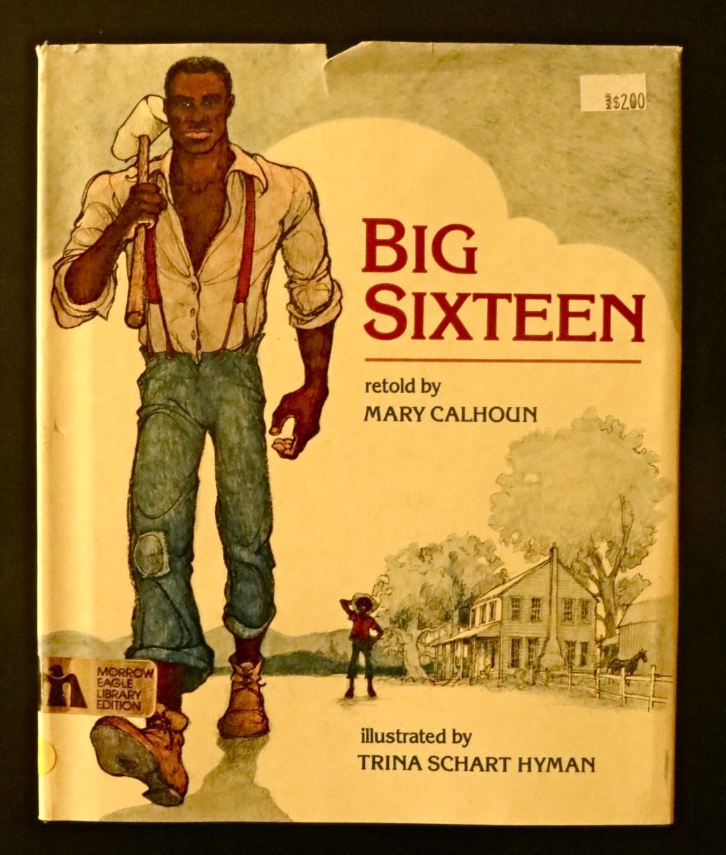 Big Sixteen: Mary Calhoun: 9780688023508: Amazon.com: Books