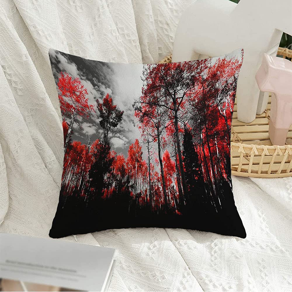 Velvet Cushion Red Texture