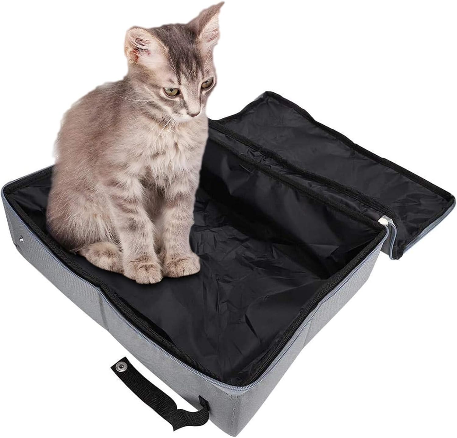 Amazon.com: Stainless Steel Dish Drainer Litter Cat Portable Cover Box ...