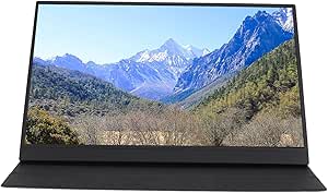 17.3 Inch Laptop Screen 4K Laptop Screen 3840 x 2160P IPS Panel ...