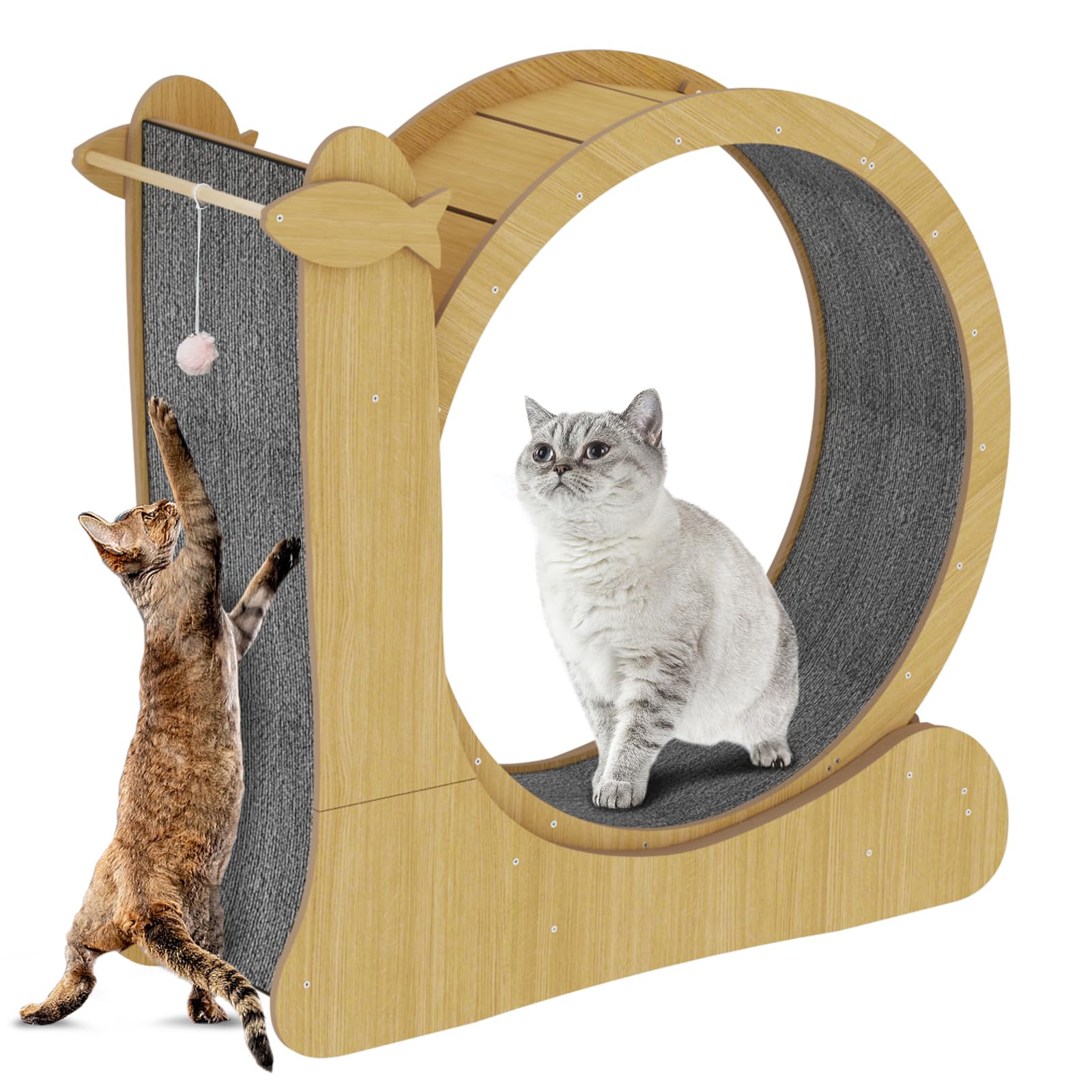 Upgraded 2 in 1 Cat Exercise Wheel?39.4" High Indoor Cat Running Wheel ...