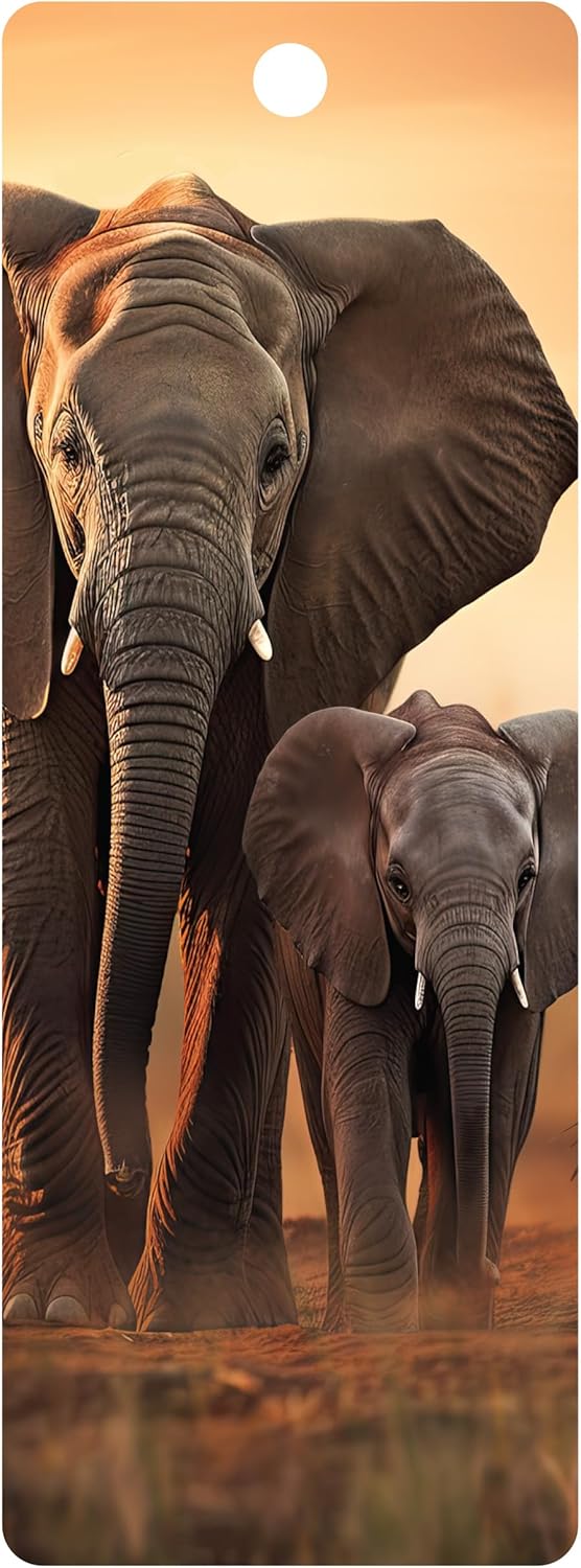 Amazon.com: 3D LiveLife Bookmark - Sunset Stroll from Deluxebase. an ...