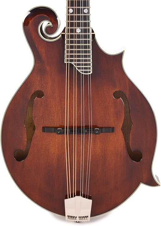 Amazon.com: Eastman MD515 F-Style Mandolin With Case : Musical Instruments