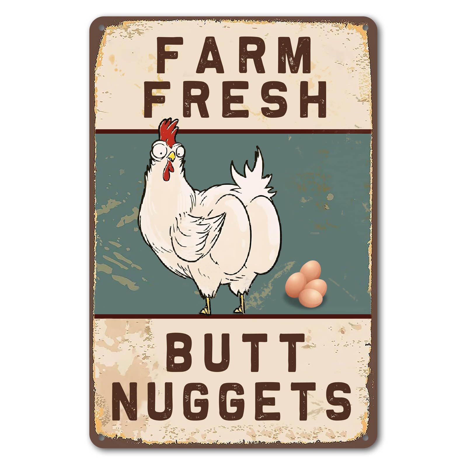 Amazon.com: Bestylez Funny Chicken Coop Sign Vintage Chicken Sign ...