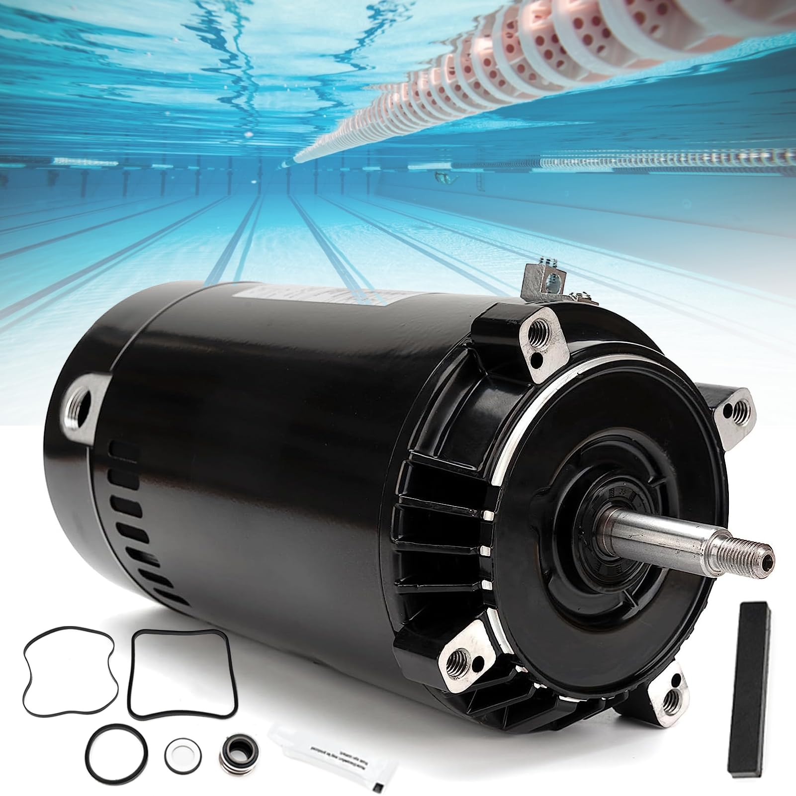 LAWETA UST1102 Swimming Pool Pump Motor Compatible with Century Pool ...