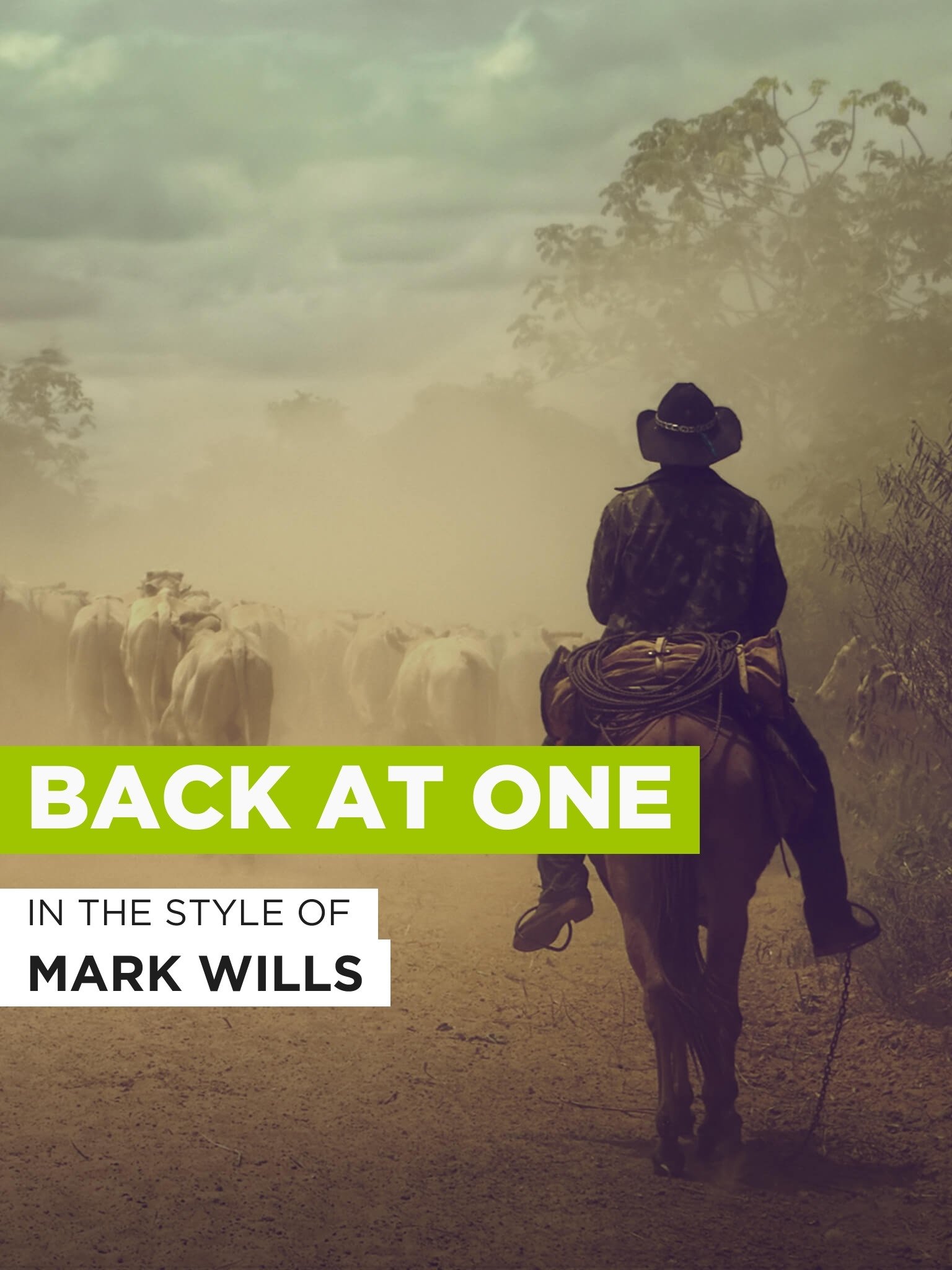 Amazon.com: Back At One : Mark Wills, B McKnight, ---: Movies & TV