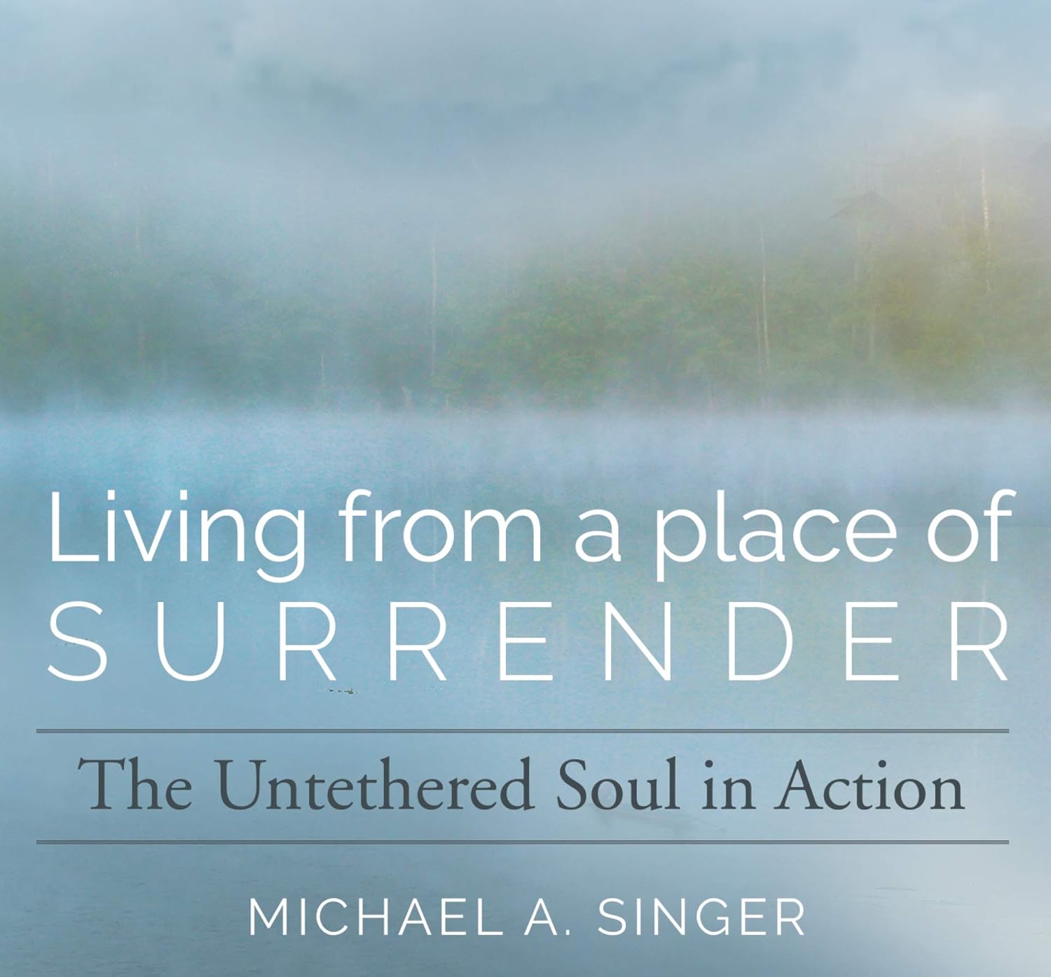 Amazon.com: Living from a Place of Surrender: The Untethered Soul in ...