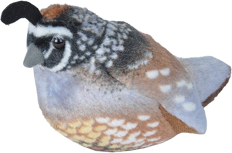 Amazon.com: Wild Republic Audubon Birds California Quail Plush with ...