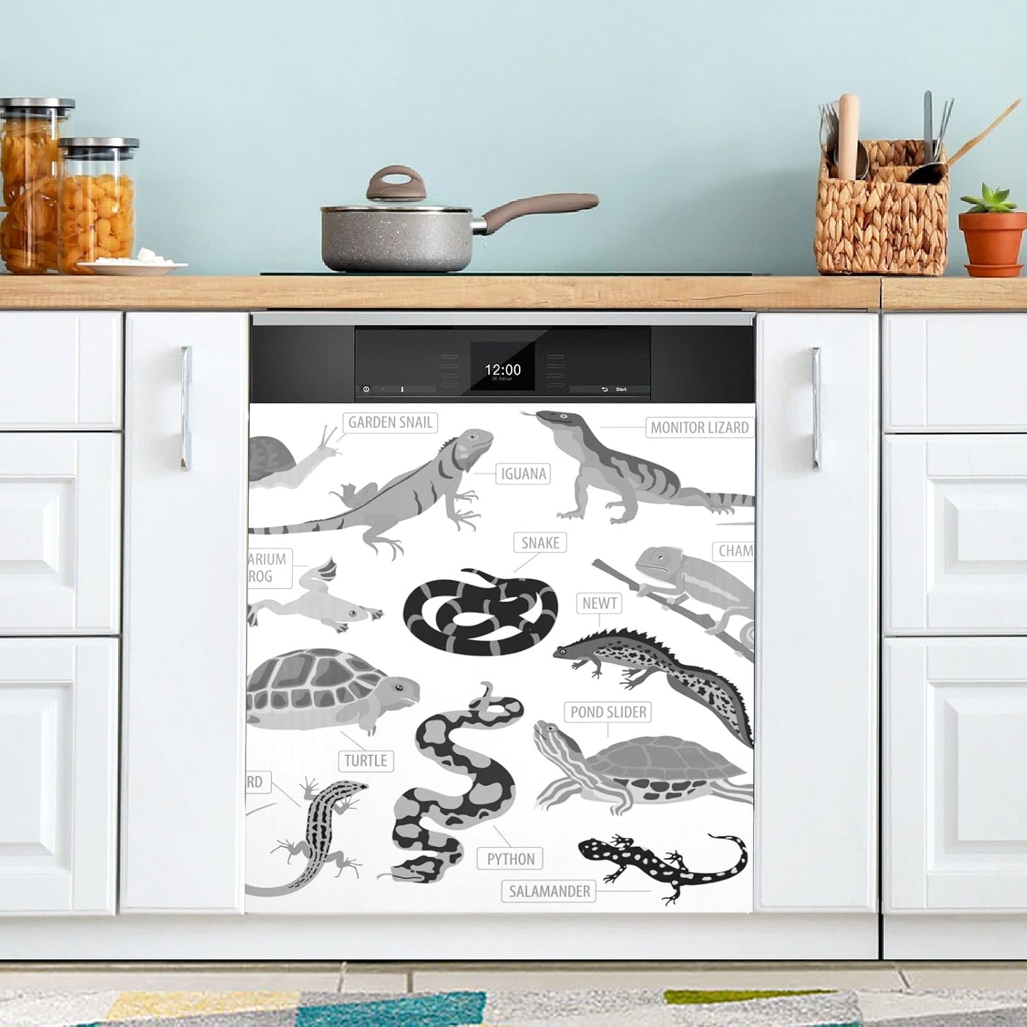 Amazon.com - Black Grey Pet Reptiles Frog Iguana Lizard Snake Newt ...