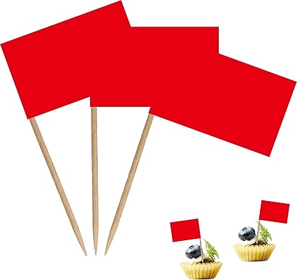 Amazon.com | Blank Toothpick Flag Small Mini Labeling Marking DIY Stick ...