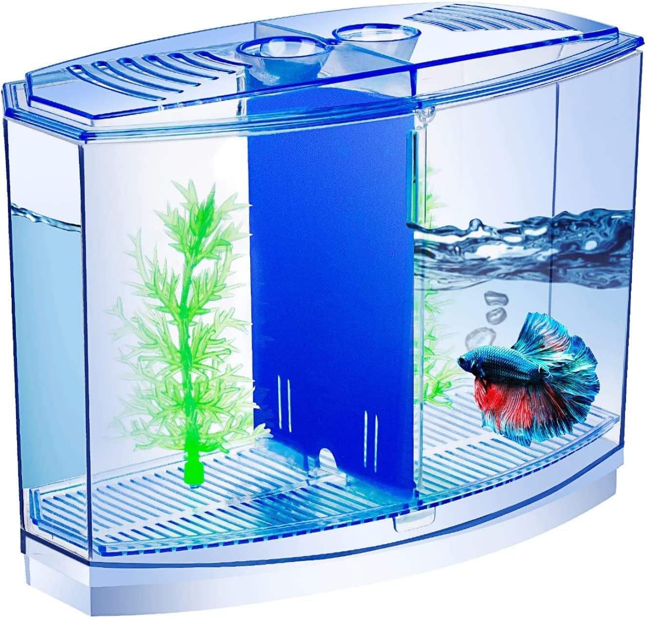 Amazon.com : Mini Fish Tank - Tiny Betta Fish Tank Small Aquarium with ...