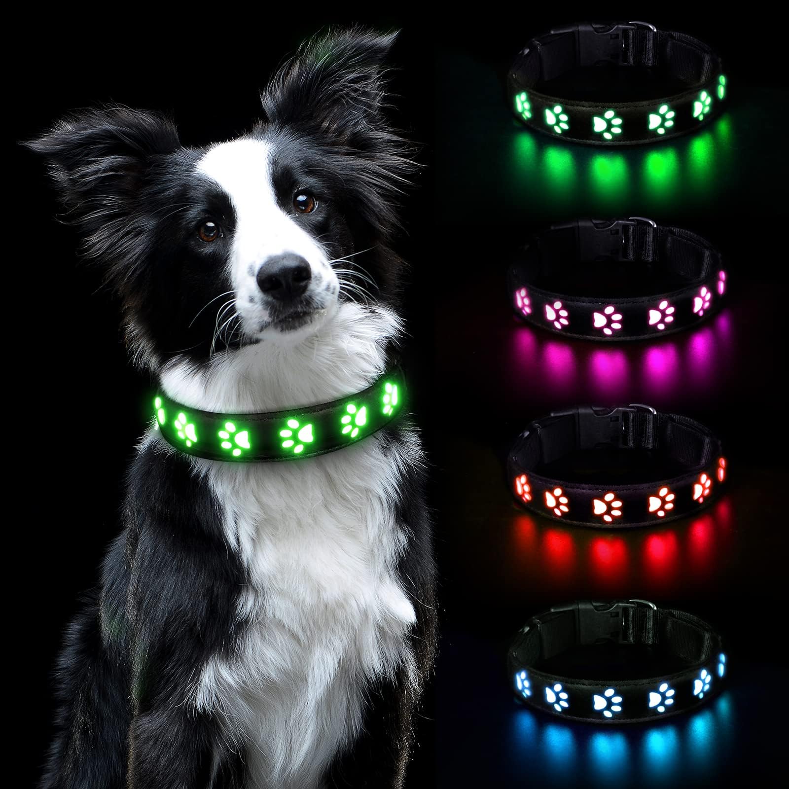 Amazon.com : Ezierfy Light Up Dog Collar - USB Rechargeable Glowing ...