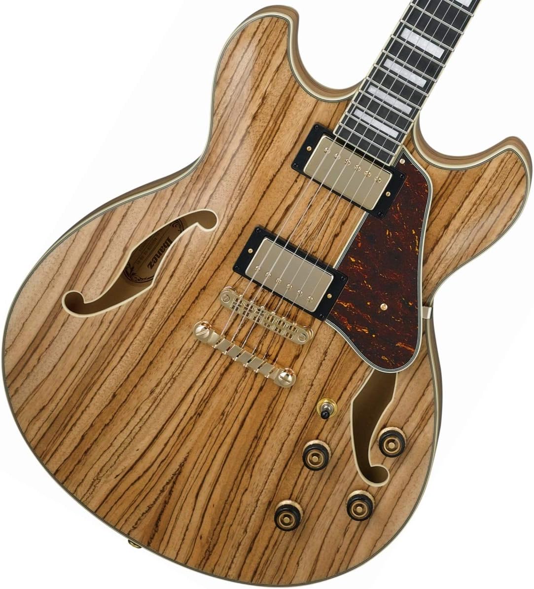 Amazon.com: Ibanez Artcore Expressionist AS93ZW - Natural : Musical ...