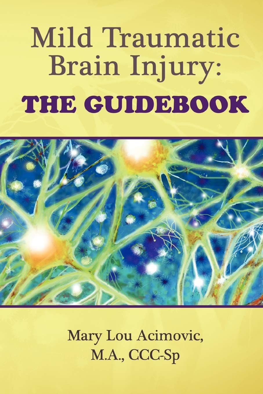 Mild Traumatic Brain Injury: The Guidebook: Acimovic, Mary Lou ...