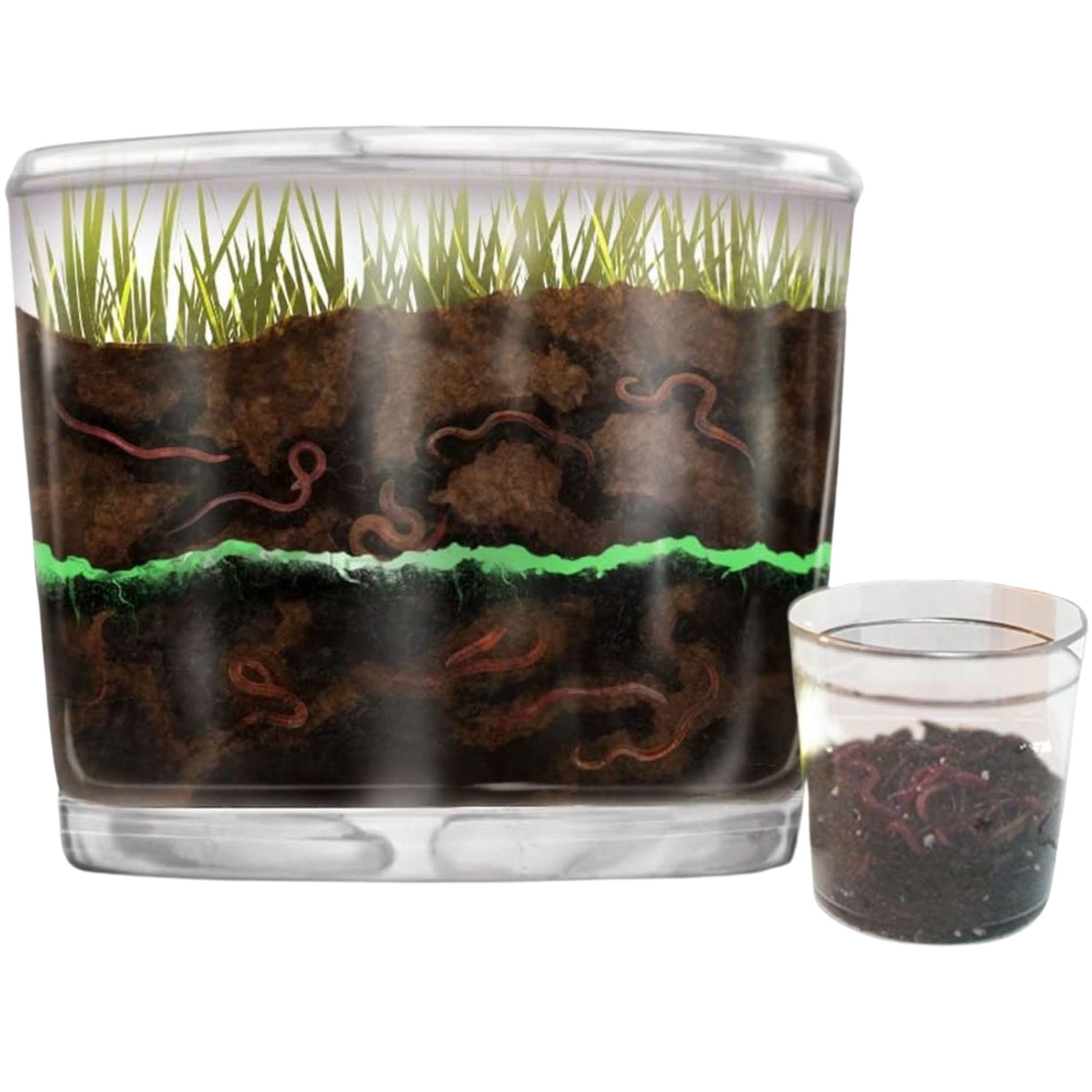 Worm Composting For Kids