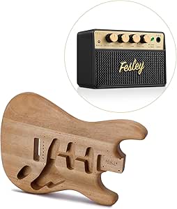 Amazon.com: Fesley DIY Electric Guitar Kit Natural + 10 W Mini Guitar ...