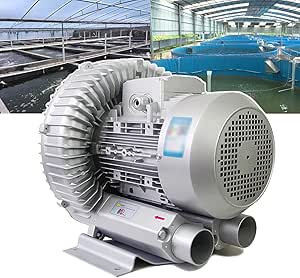 Amazon.com: VNATWGOO 120W-1100W Regenerative Blower for Aquarium ...