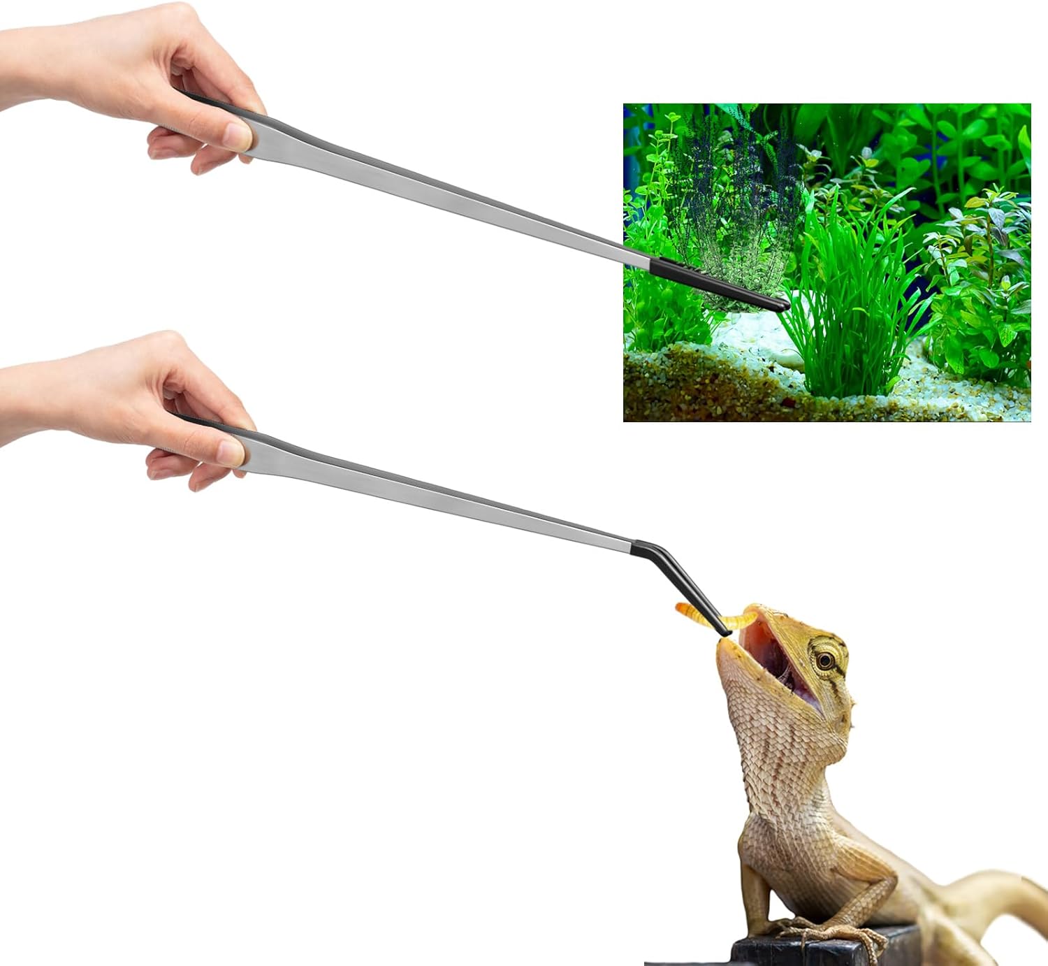 Amazon.com : Lasnten 2 Pcs Extra Long Stainless Steel Reptile Feeding ...