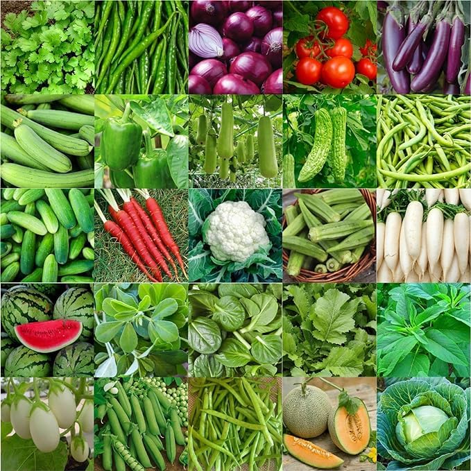 Fresh Vegetable Organic Seeds for All-Season, Easy to Grow, Home ...