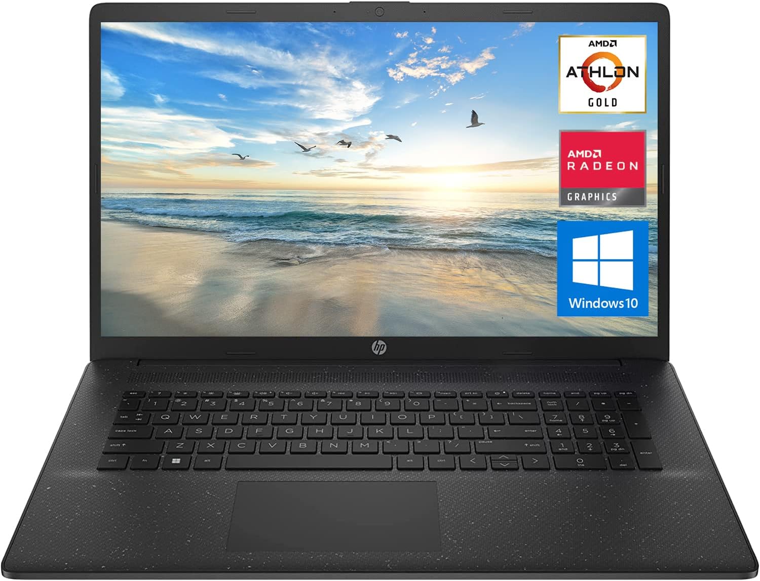 Amazon.com: HP 2021 17z Laptop, 17.3'' HD+ Screen, AMD Athlon Gold ...