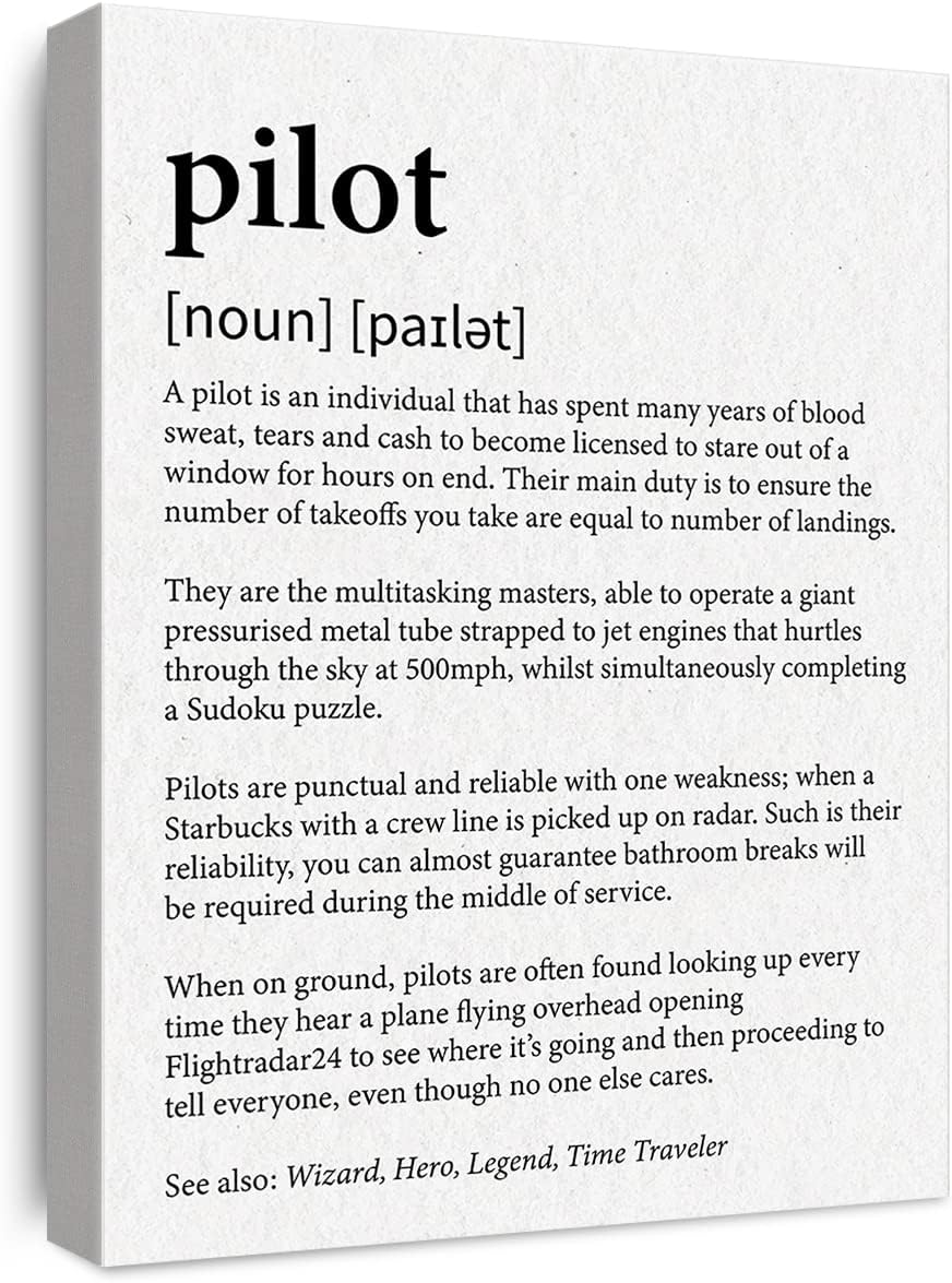 Amazon.com: Pilot Definition Canvas Wall Art Pilot Dictionary ...