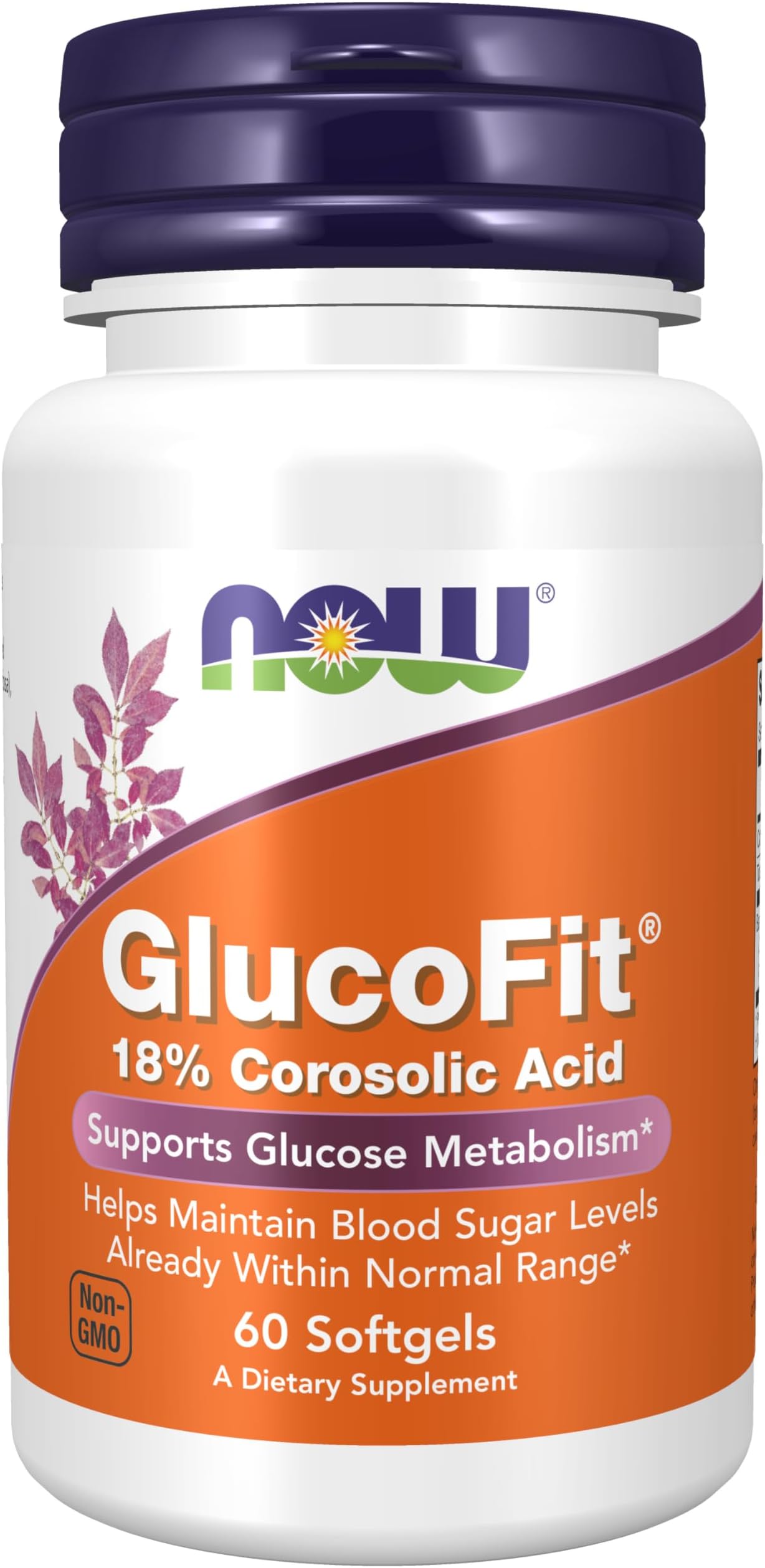 Amazon.com: Gluco Control - Gluco Control Advanced Support (2 Pack, 120 ...