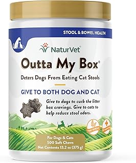 Can Dogs Typically Eat Cats? Understanding The Dynamics Of Carnivorous ...