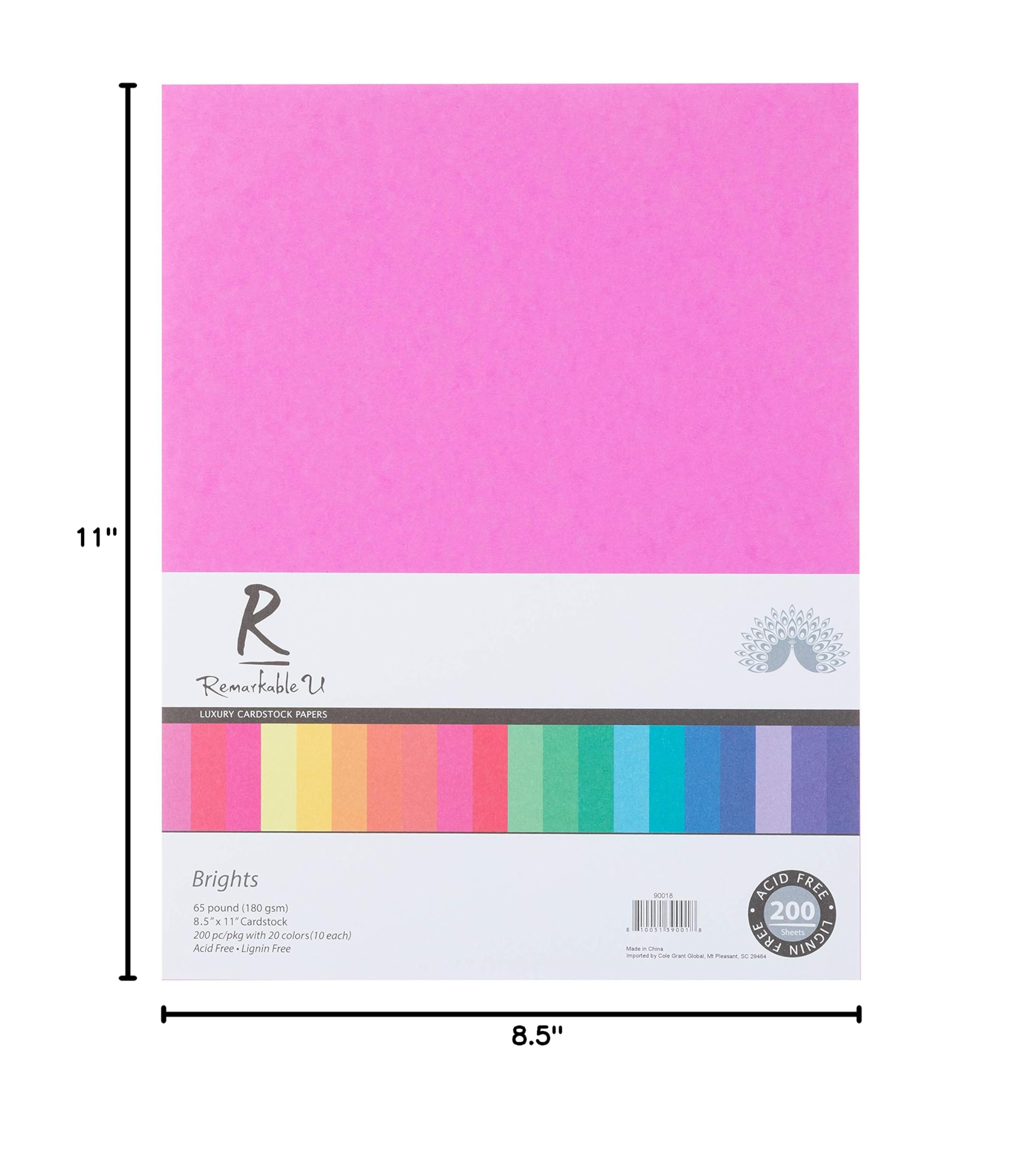 Premium Colored Cardstock Pap...B08F823WX7 | Encarguelo.com