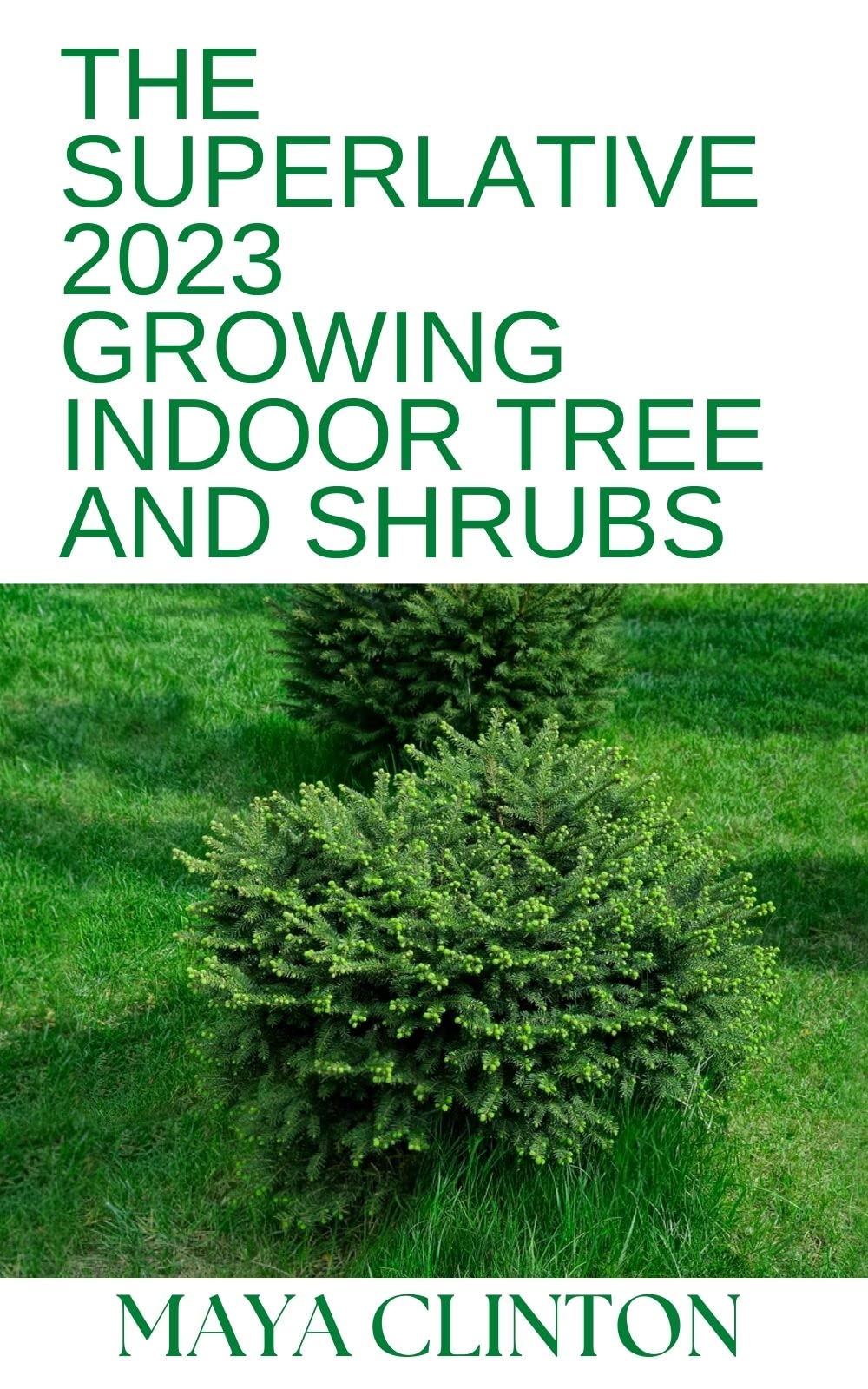 Buy The Superlative 2023 Growing Indoor Tree And Shrubs: A Beginner's ...