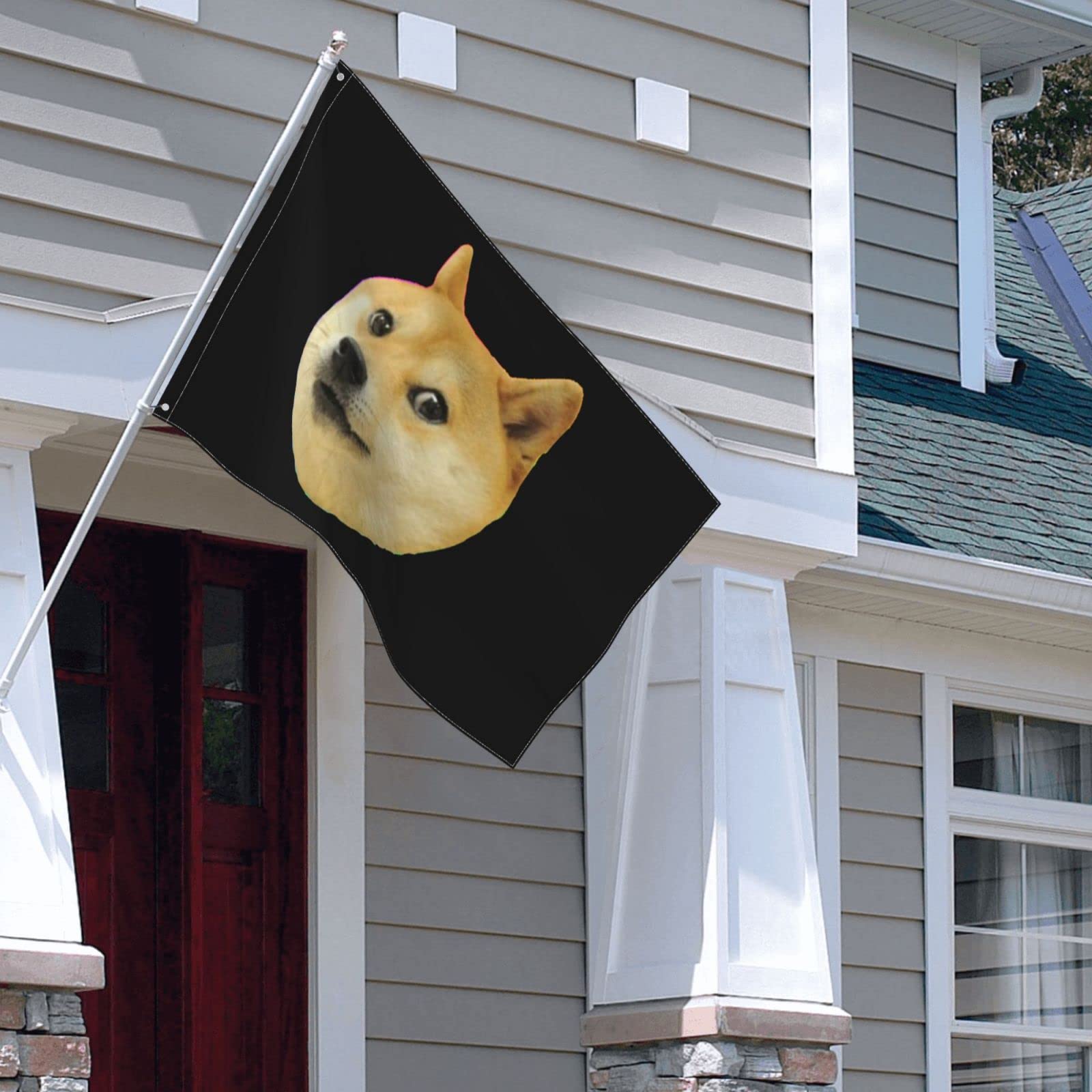 Memes Perro Arquitectura