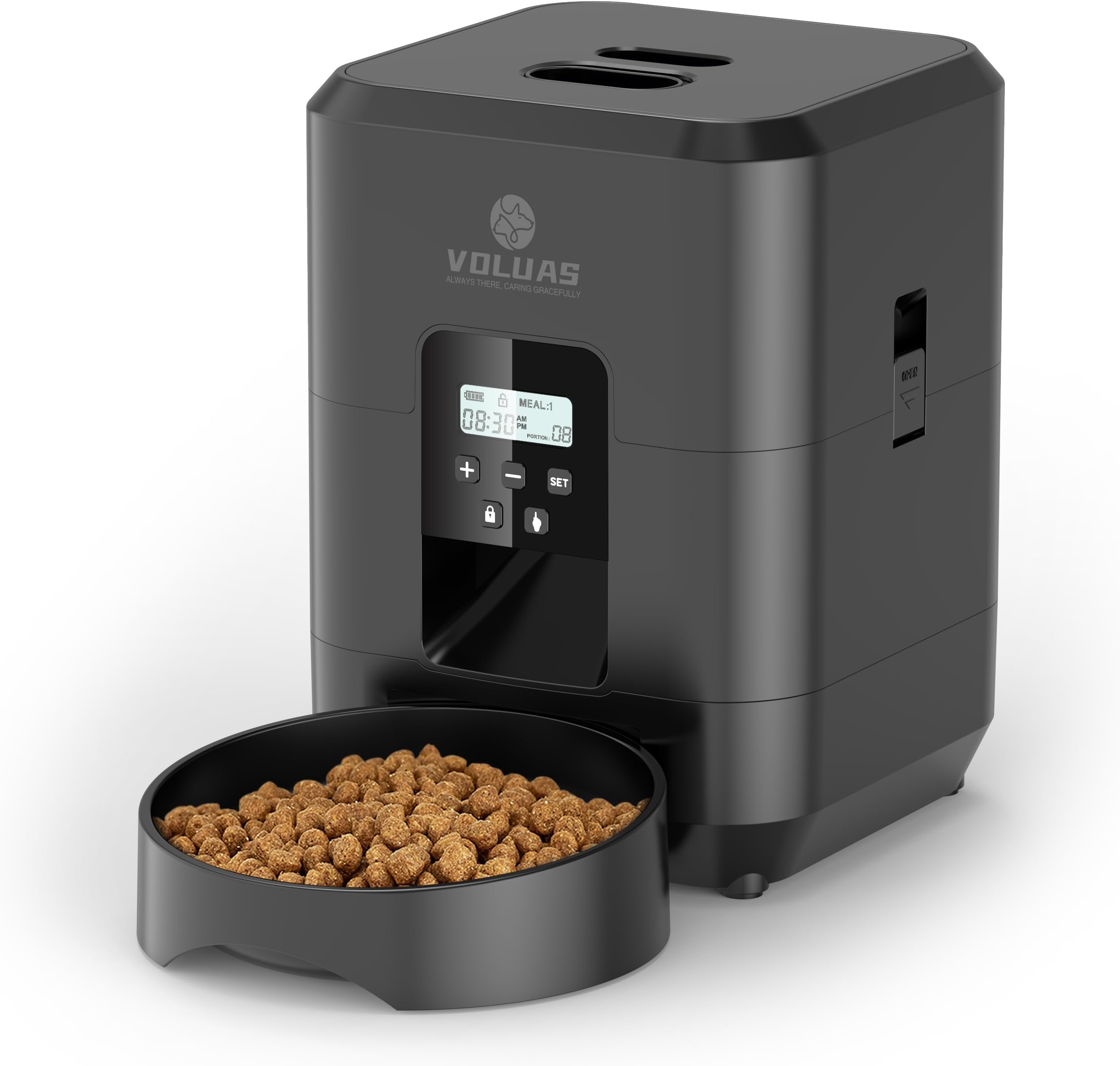 Pet Supplies : The PawPerfect 6-Liter Automatic Feeder for Your pet cat ...