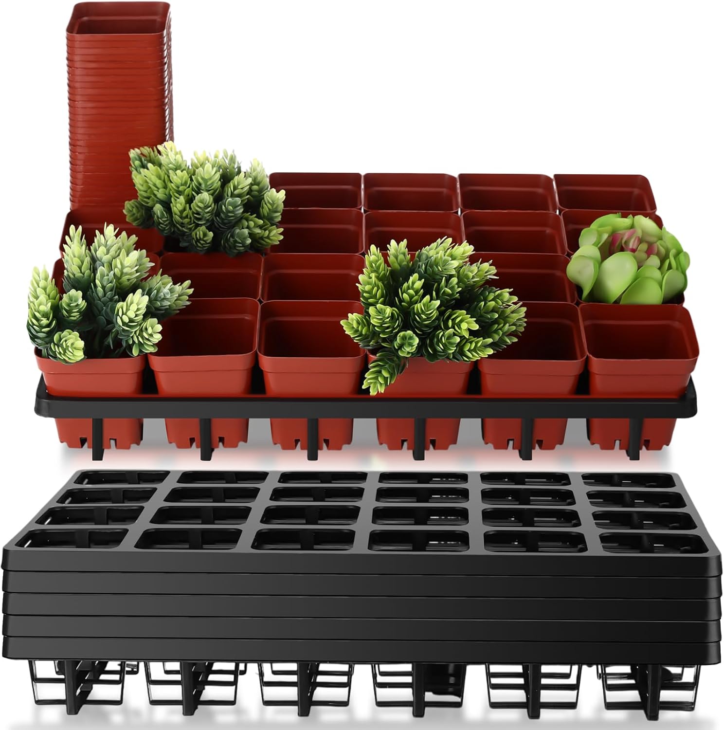 Amazon.com: Vesici 24 Cell Square Planting Trays Set, 5 Pack Plant ...
