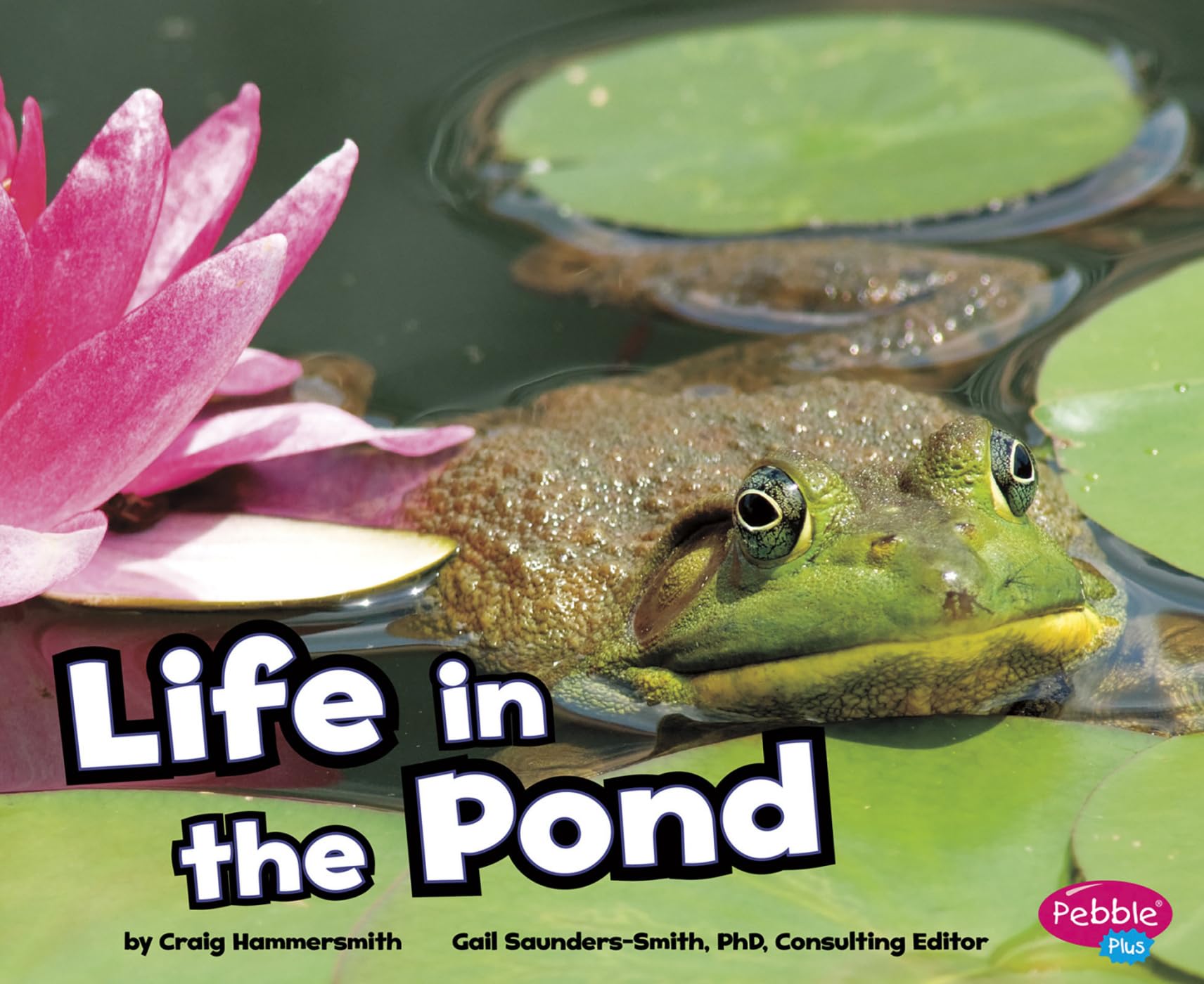 Life in a Pond (Pebble Plus: Habitats Around the World): Craig ...