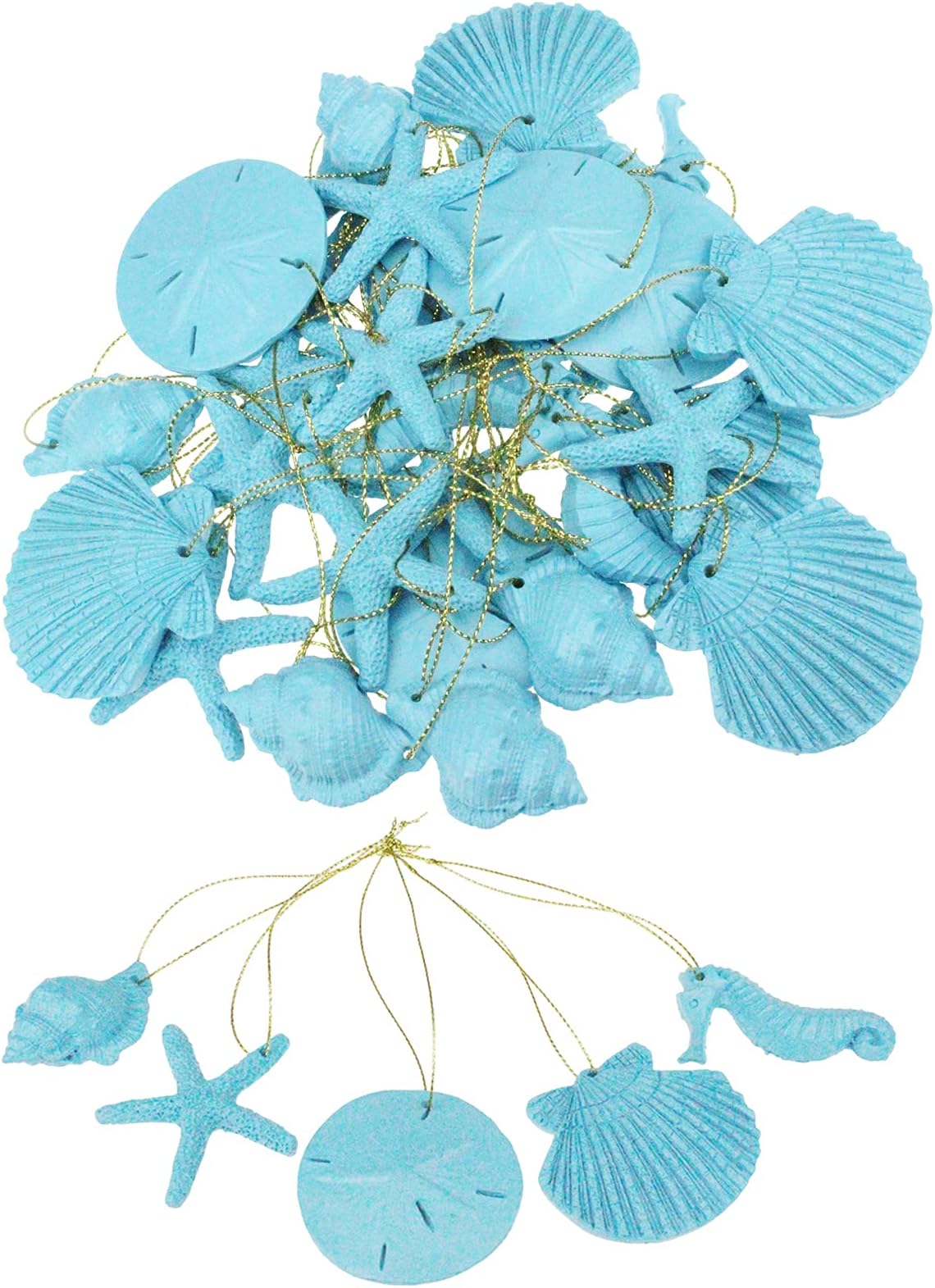 Amazon.com: 48 Pcs Summer Ocean Themed Decor Seashell Seahorse Hanging ...