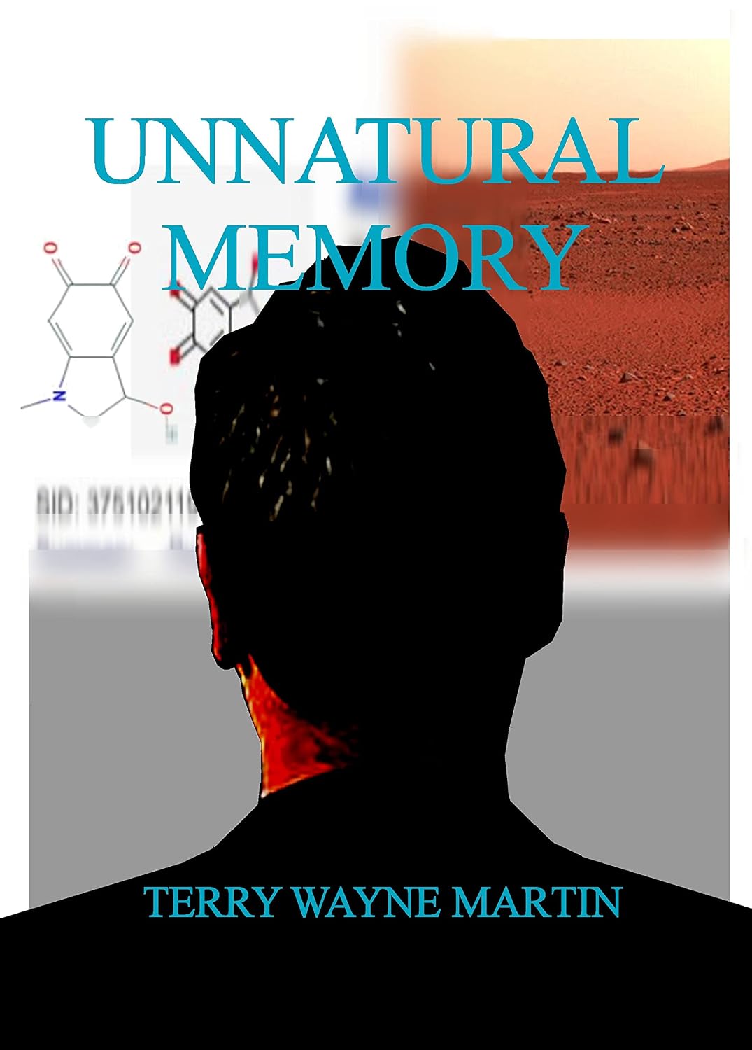 Amazon.com: Unnatural Memory: an excursion into alternate history eBook ...