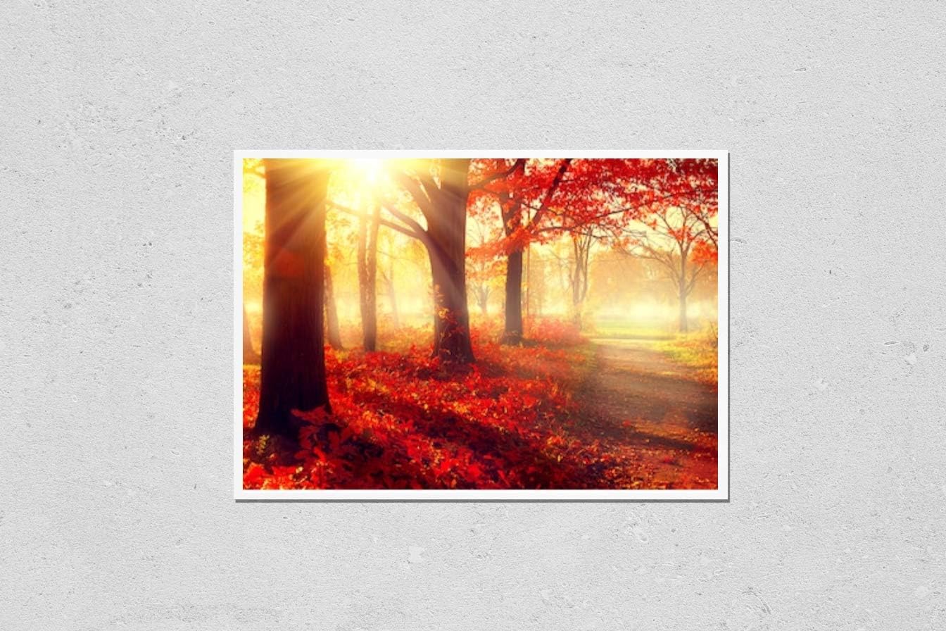 Amazon.com: HardPress Wall Art Poster Print of Autumn. Fall Scene ...