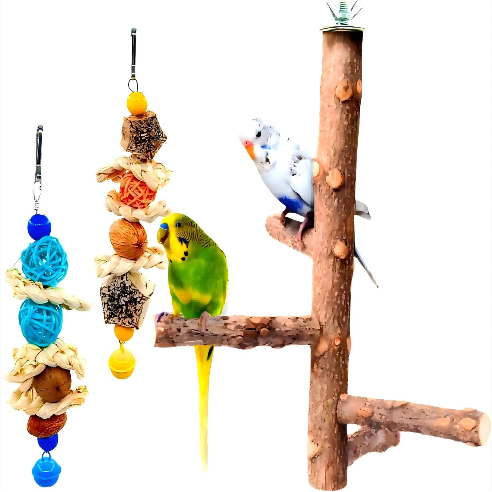 Amazon.com : XLpeixin Bird Perches Stand,Natural Wood Parakeets Perches ...