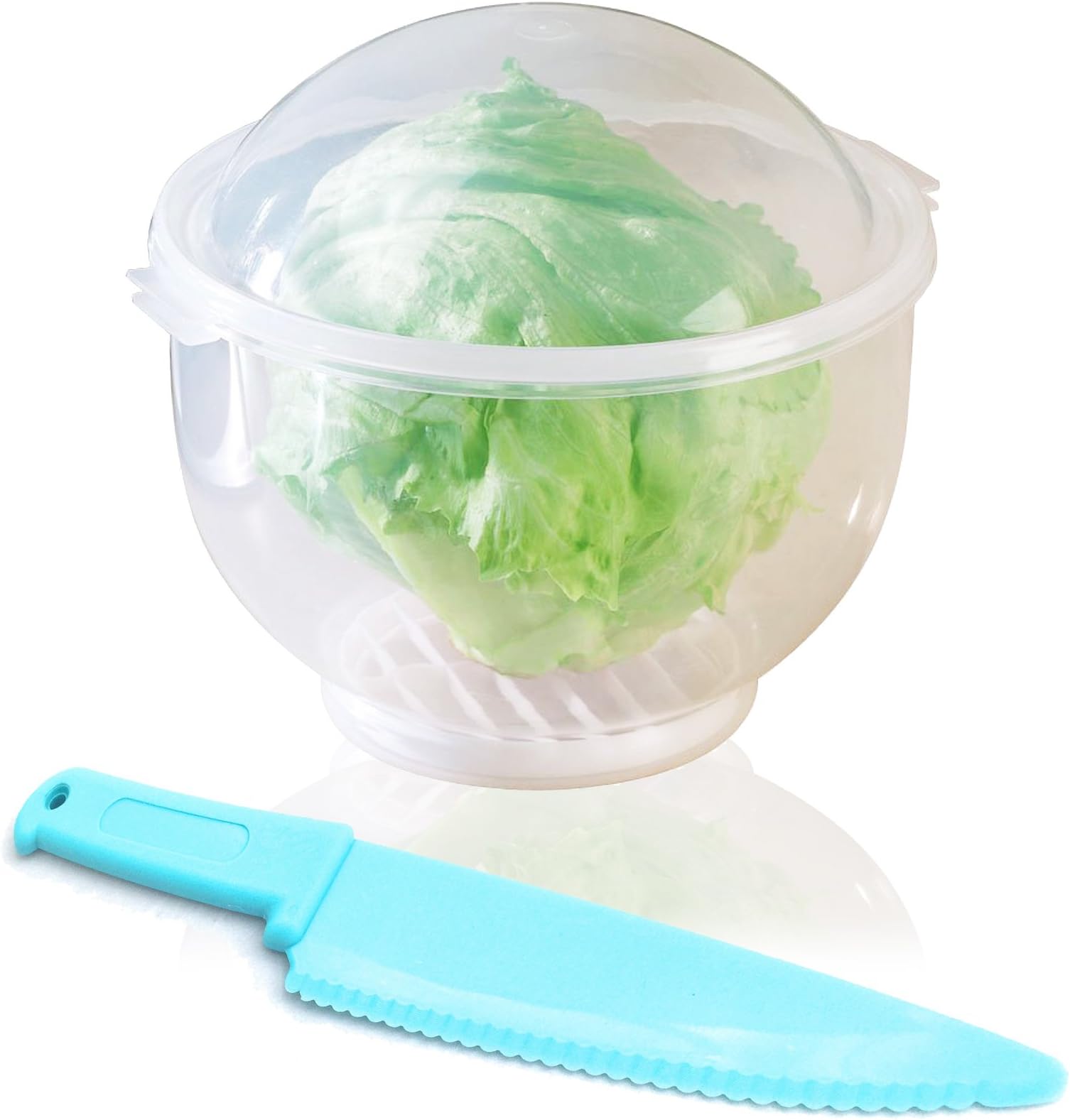 Amazon.com: Lettuce Crisper Salad Keeper Container Keeps your Salads ...