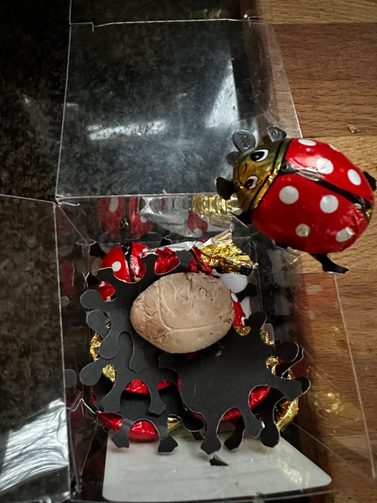 Amazon.com : Riegelein Chocolate Mini Ladybugs in Gift Container 100g ...